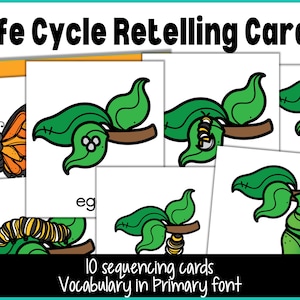 Butterfly Life Cycle Emergent Reader Book and Activities - Etsy