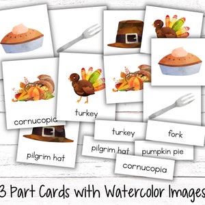 Thanksgiving 3 Part Vocabulary Cards for Montessori, Task Boxes ...