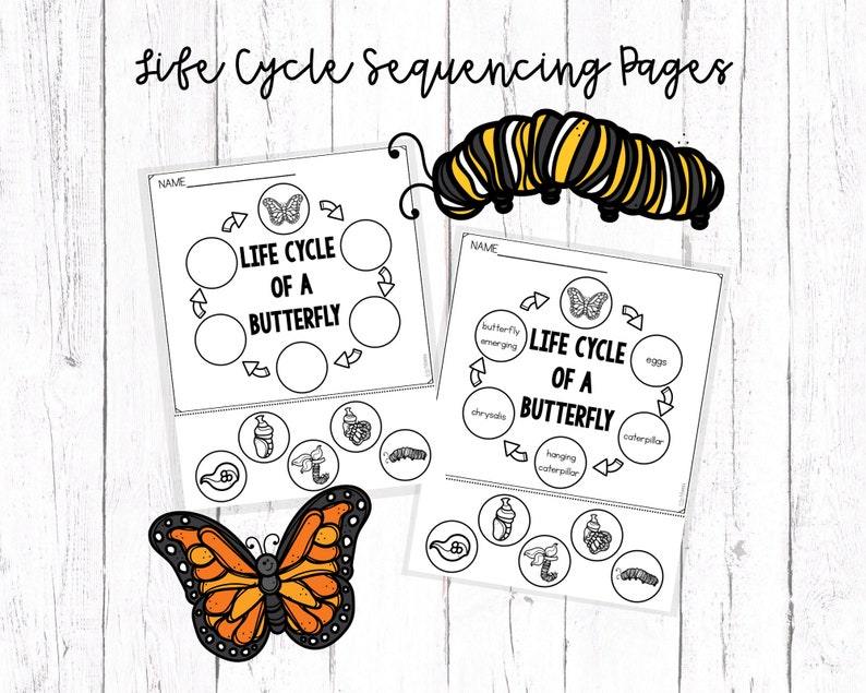 Butterfly Life Cycle Emergent Reader Book and Activities - Etsy