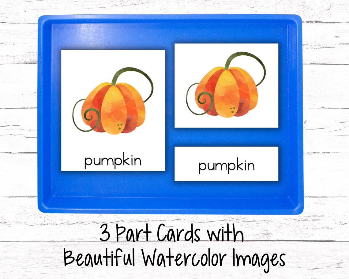Thanksgiving 3 Part Vocabulary Cards for Montessori, Task Boxes ...