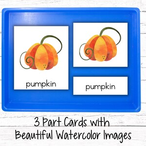 Thanksgiving 3 Part Vocabulary Cards for Montessori, Task Boxes ...