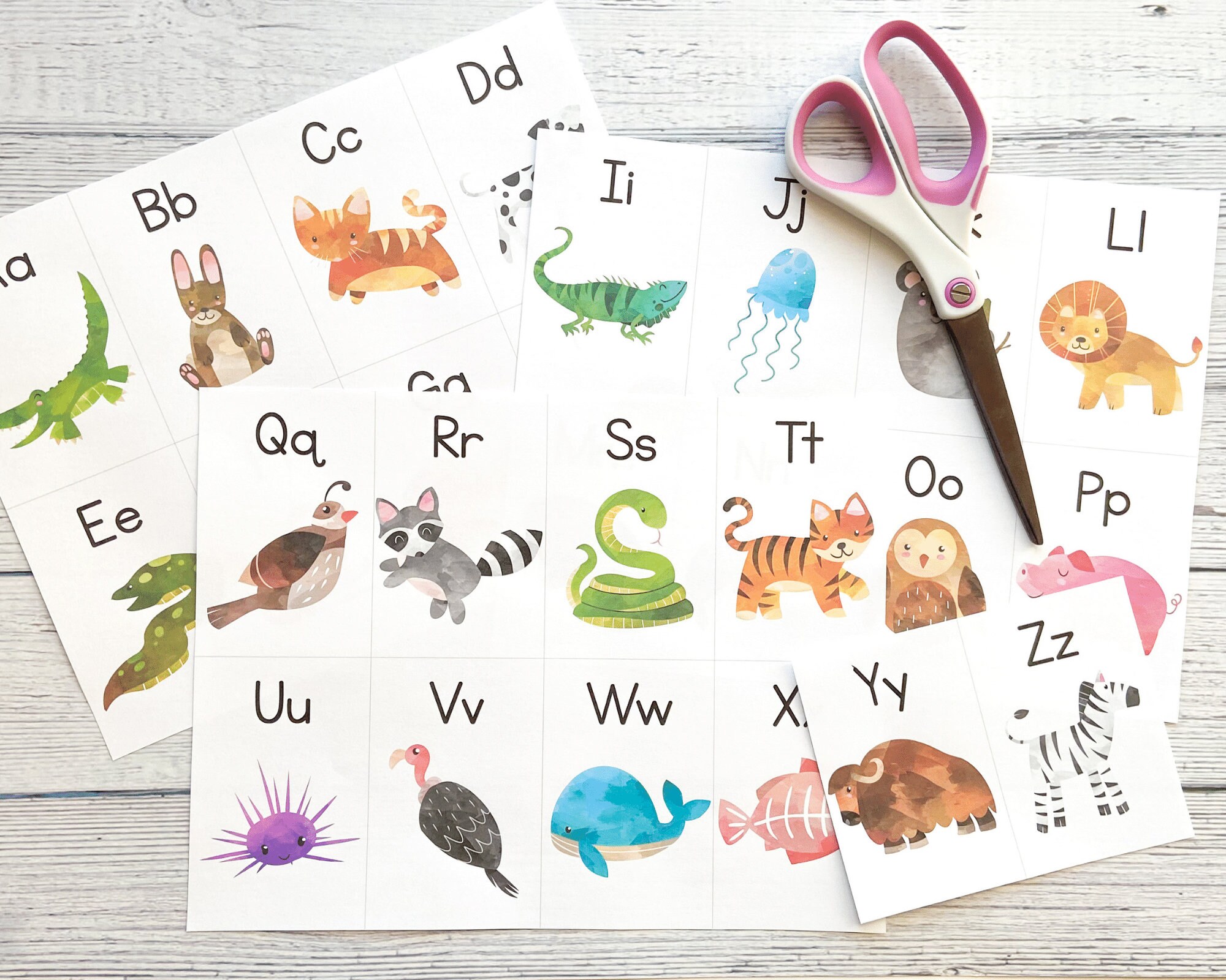 ABC Animal Flashcards for Preschool | Printable Flashcards for Toddlers ...