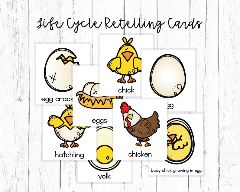 Chicken Life Cycle Emergent Reader Book and Activities | Etsy