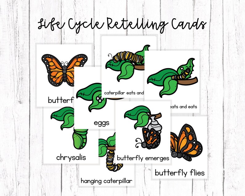 Butterfly Life Cycle Emergent Reader Book and Activities - Etsy