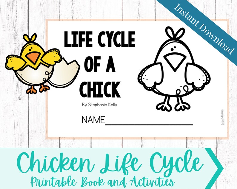 Chicken Life Cycle Emergent Reader Book and Activities - Etsy