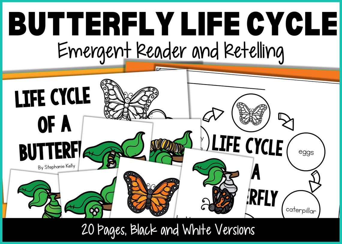 Butterfly Life Cycle Emergent Reader Book and Activities - Etsy