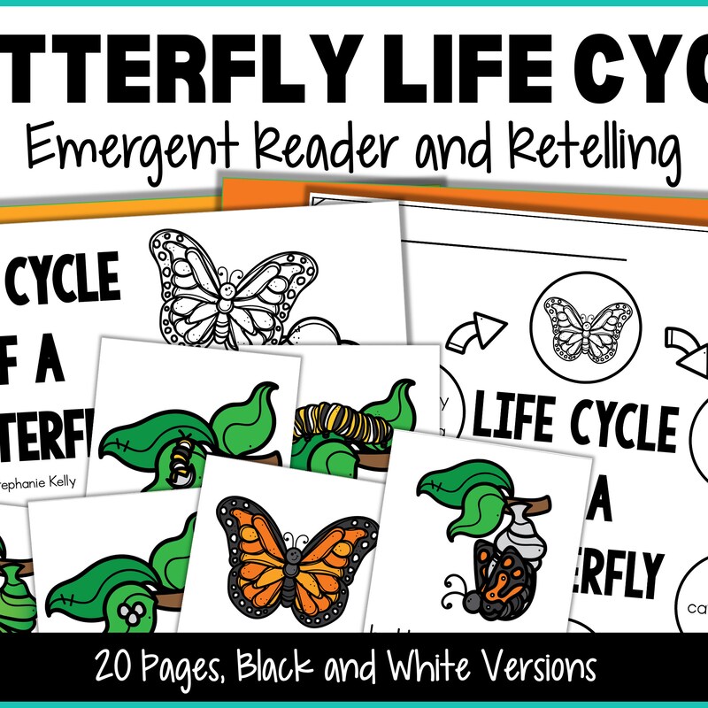 Butterfly Life Cycle - Etsy