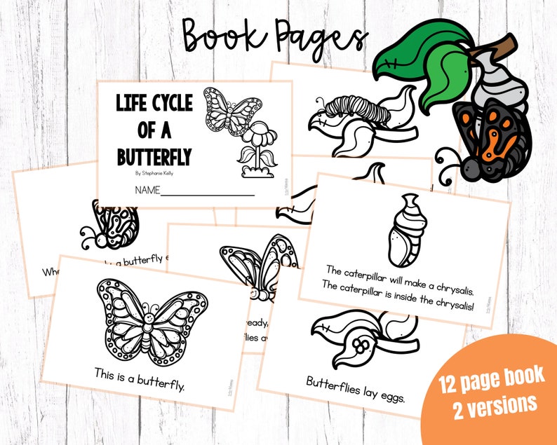 Butterfly Life Cycle Emergent Reader Book and Activities - Etsy