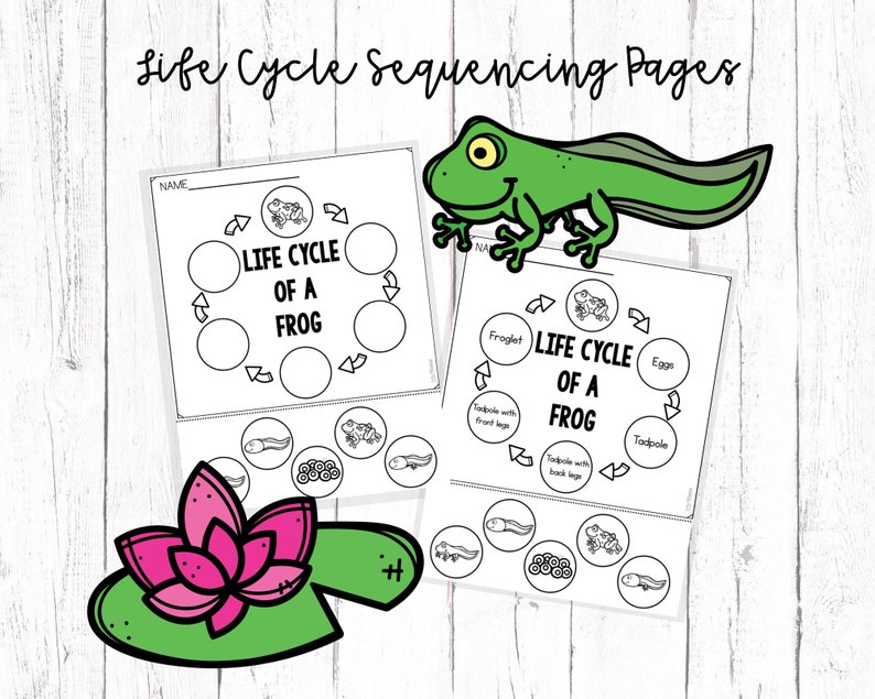 Frog Life Cycle Emergent Reader Book and Activities - Etsy
