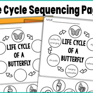 Butterfly Life Cycle Emergent Reader Book and Activities - Etsy