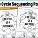 Butterfly Life Cycle Emergent Reader Book and Activities - Etsy