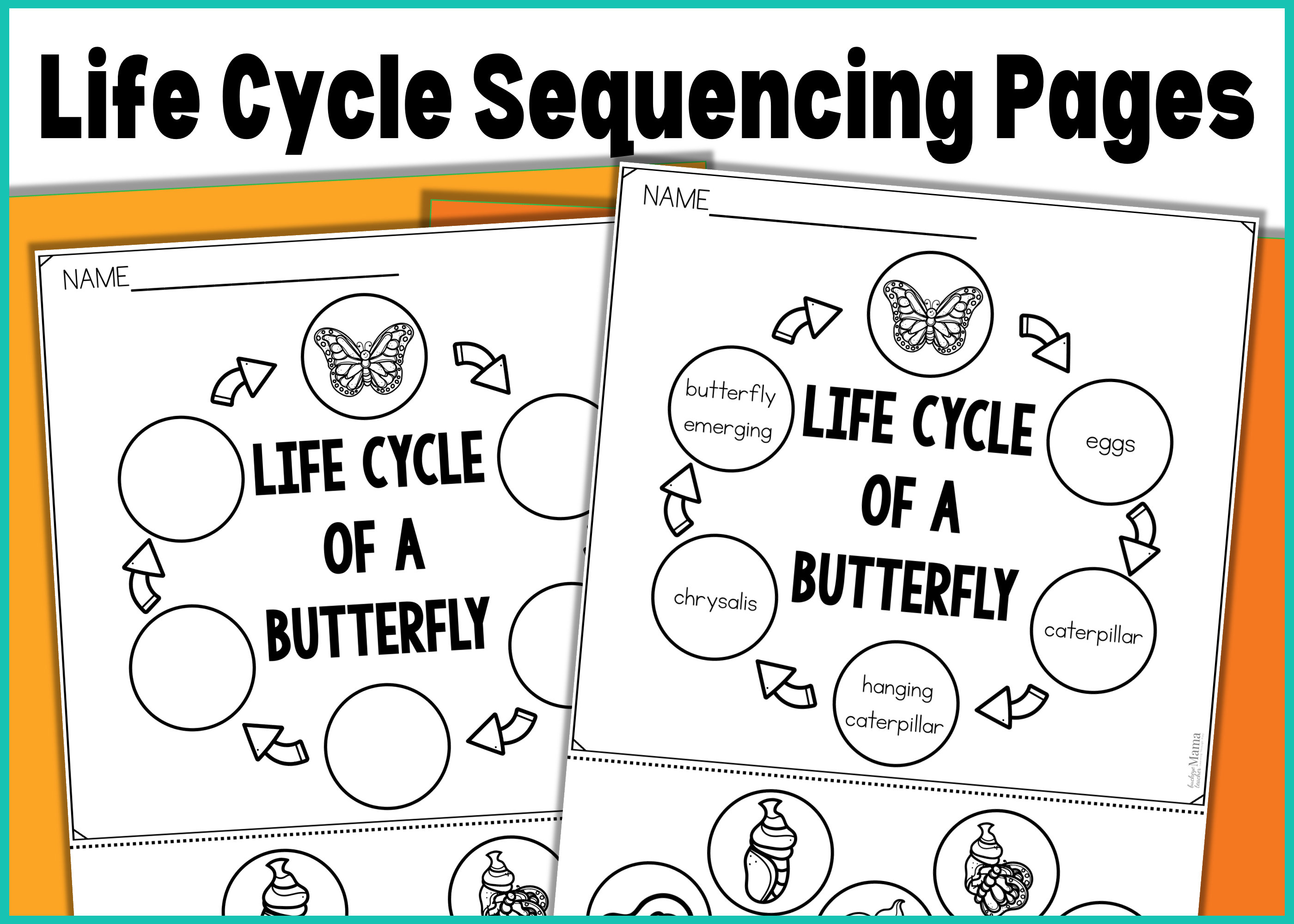 Butterfly Life Cycle Emergent Reader Book and Activities - Etsy