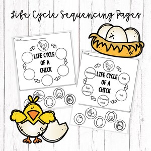 Chicken Life Cycle Emergent Reader Book and Activities | Etsy