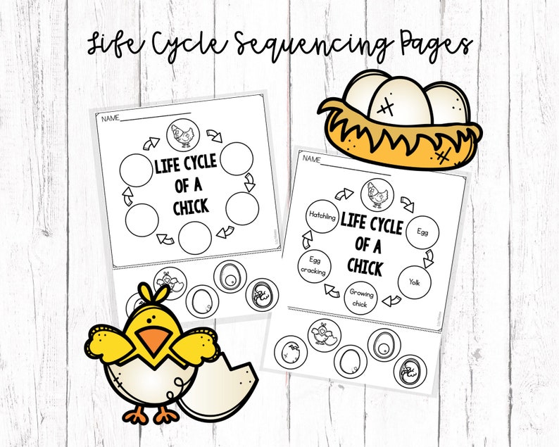 Chicken Life Cycle Emergent Reader Book and Activities | Etsy