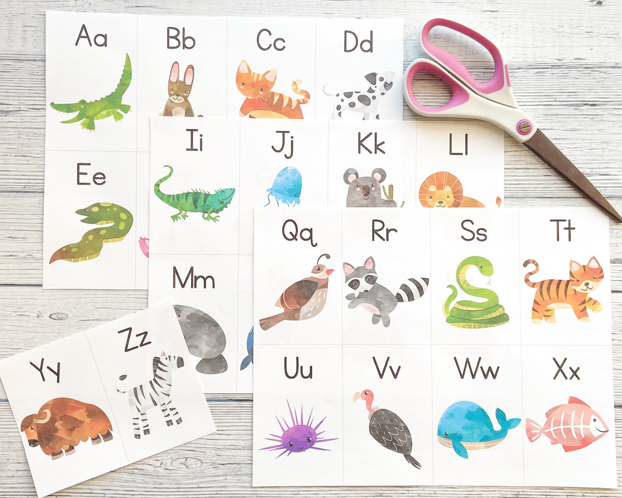 ABC Animal Flashcards for Preschool | Printable Flashcards for Toddlers ...