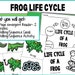 Frog Life Cycle Emergent Reader Book and Activities | Preschool ...