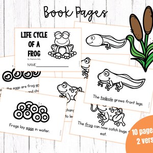 Frog Life Cycle Emergent Reader Book and Activities - Etsy