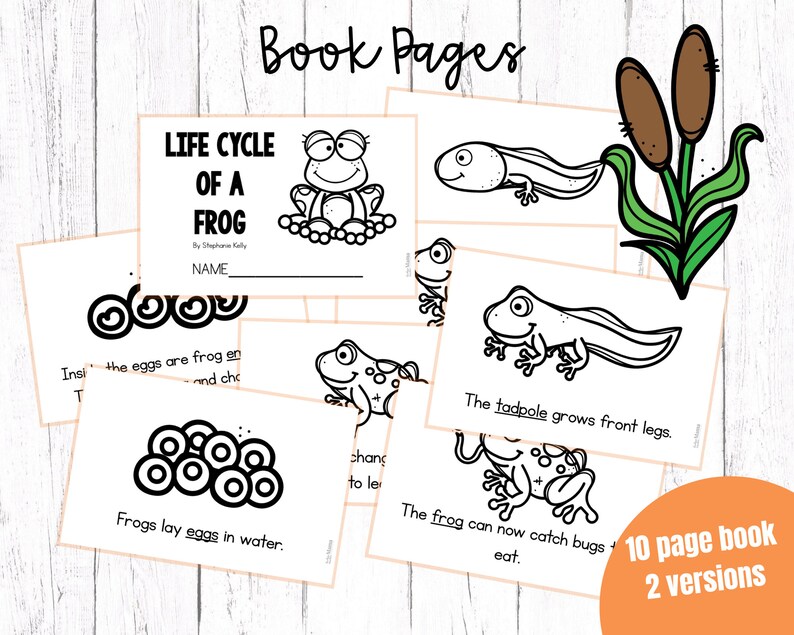 Frog Life Cycle Emergent Reader Book and Activities | Etsy
