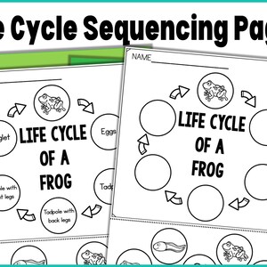 Frog Life Cycle Emergent Reader Book and Activities | Preschool ...