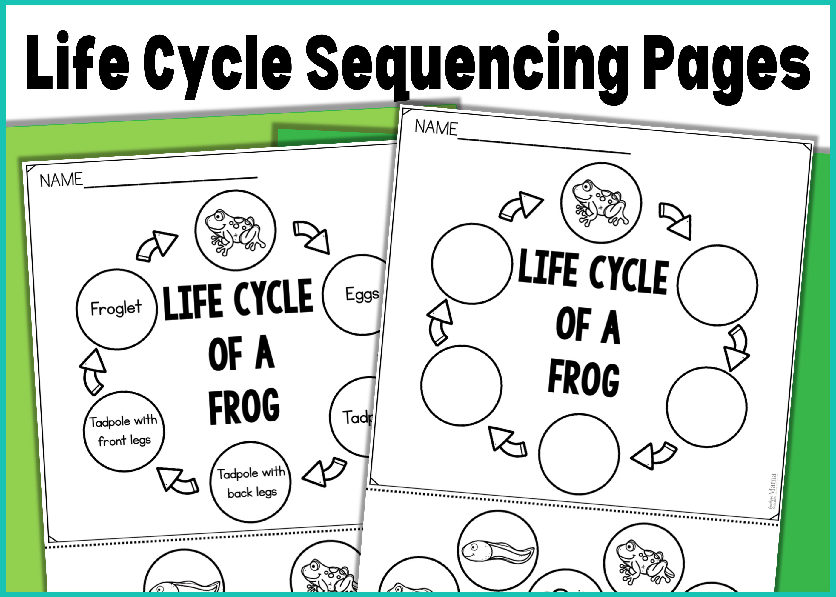 Frog Life Cycle Emergent Reader Book and Activities | Preschool ...
