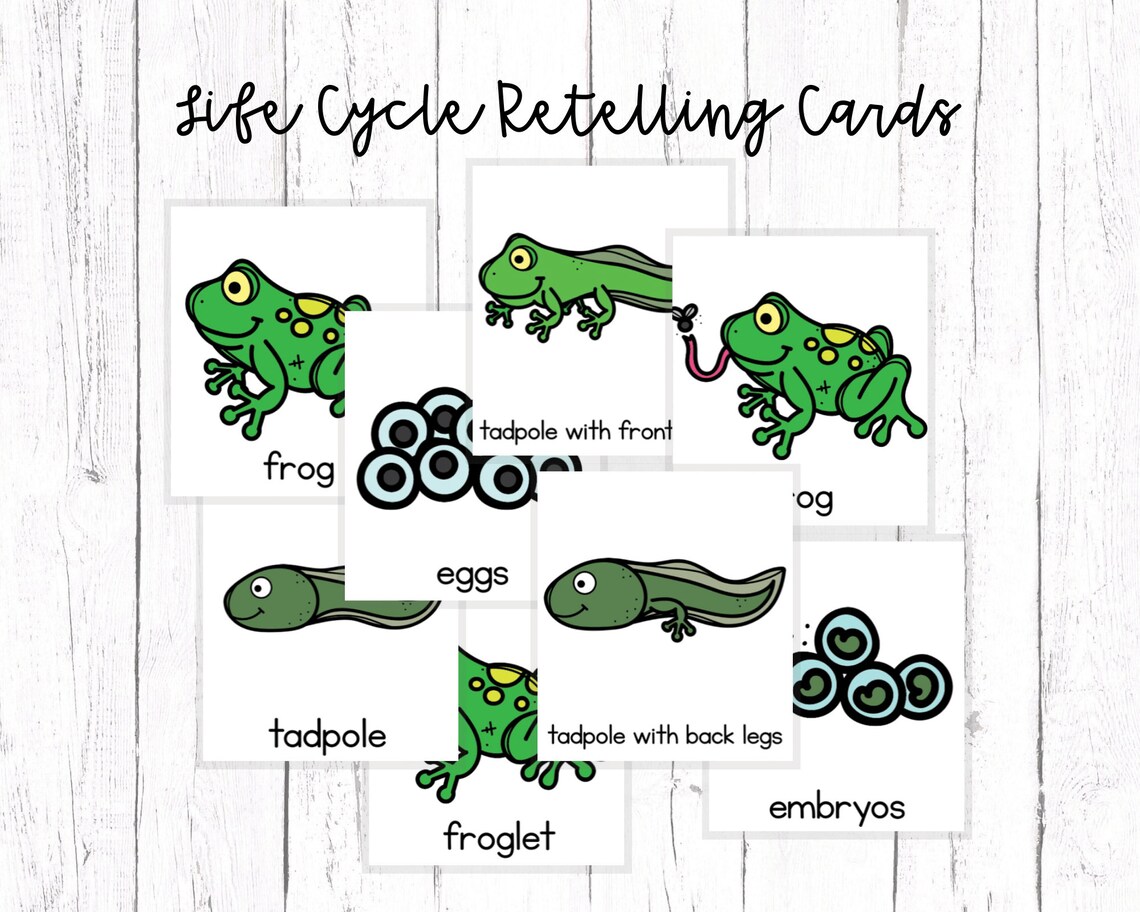 Frog Life Cycle Emergent Reader Book and Activities - Etsy
