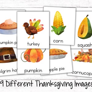 Thanksgiving 3 Part Vocabulary Cards for Montessori, Task Boxes ...