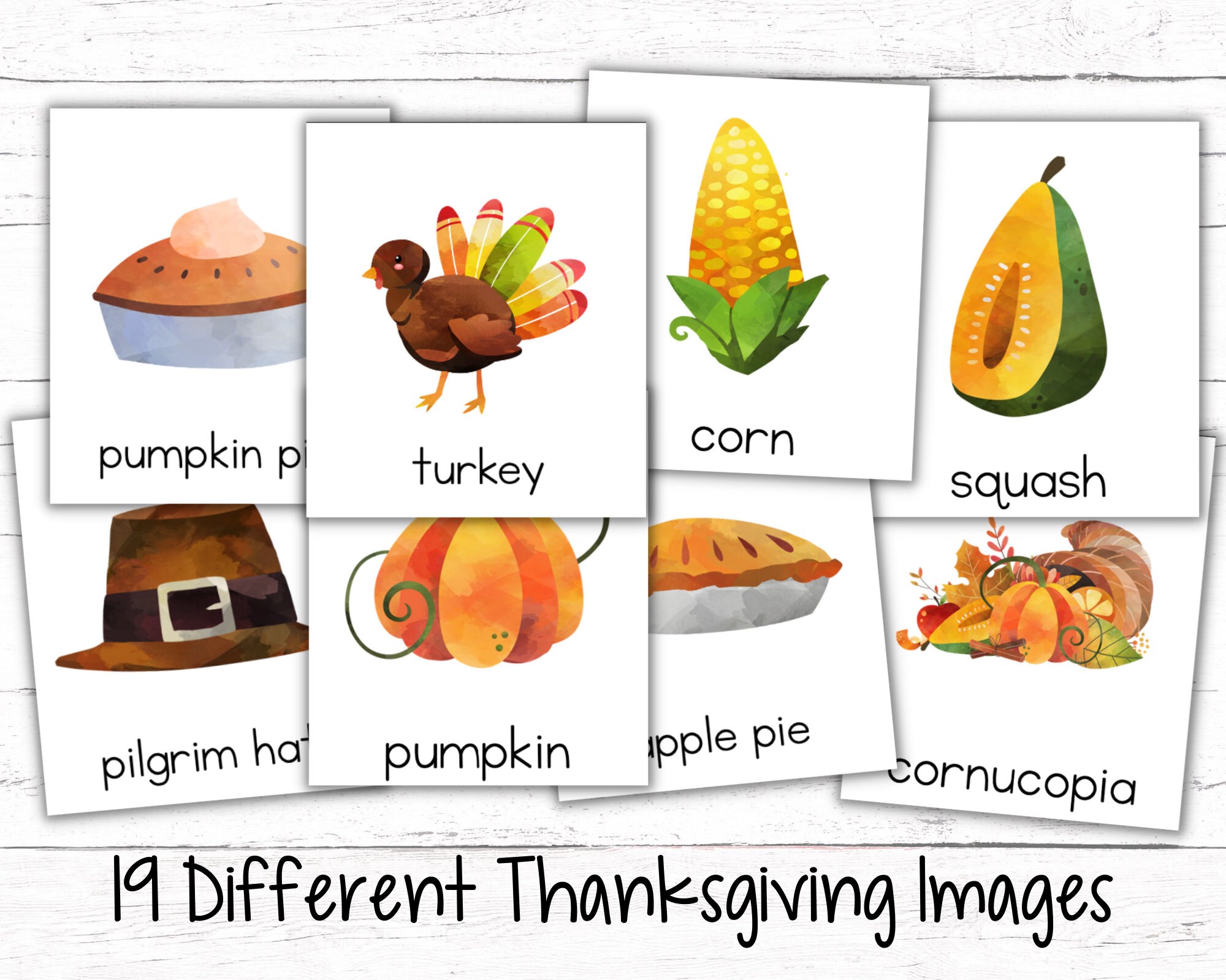 Thanksgiving 3 Part Vocabulary Cards for Montessori, Task Boxes ...