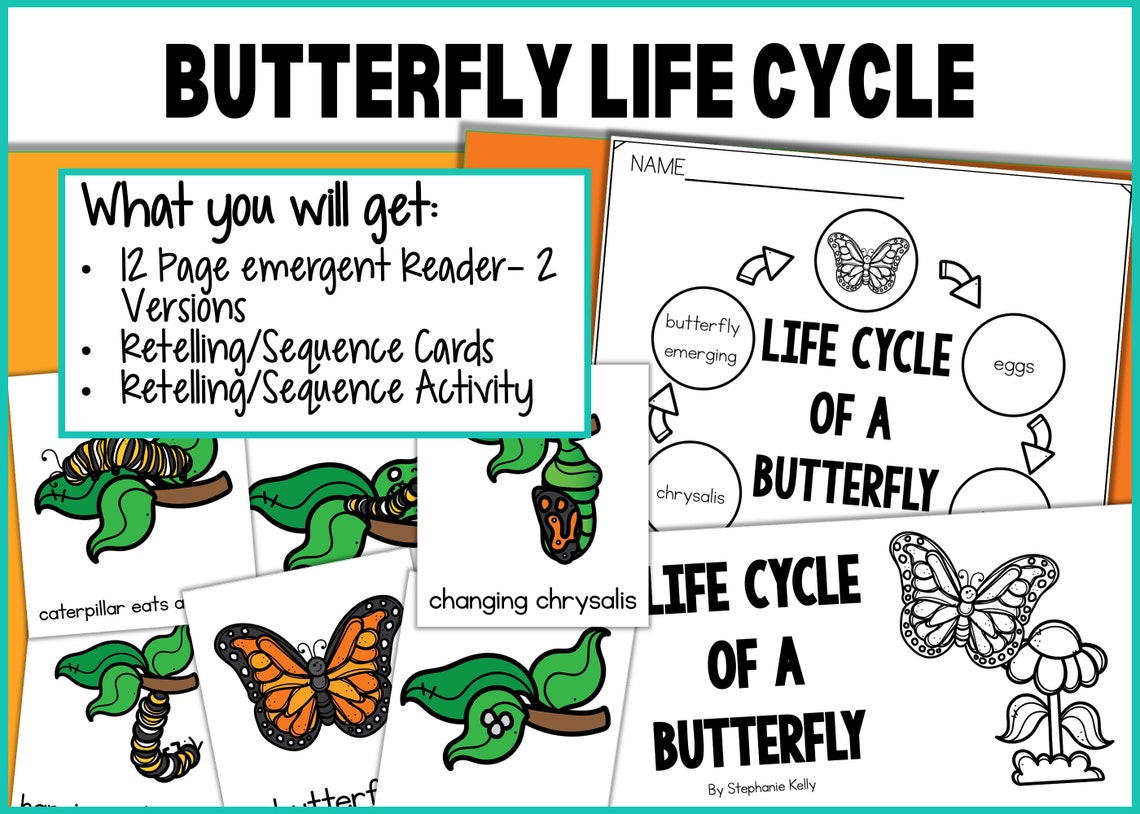 Butterfly Life Cycle Emergent Reader Book and Activities - Etsy