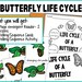 Butterfly Life Cycle Emergent Reader Book and Activities - Etsy