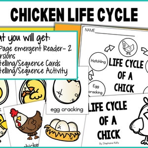Chicken Life Cycle Emergent Reader Book and Activities | Homeschool ...