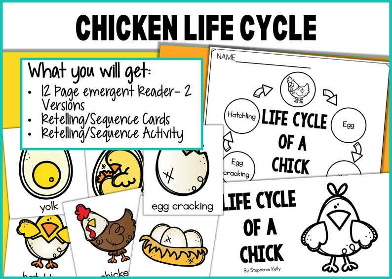 Chicken Life Cycle Emergent Reader Book and Activities | Homeschool ...