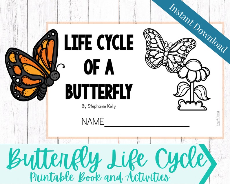 Butterfly Life Cycle Emergent Reader Book and Activities - Etsy