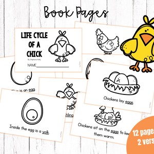 Chicken Life Cycle Emergent Reader Book and Activities | Etsy