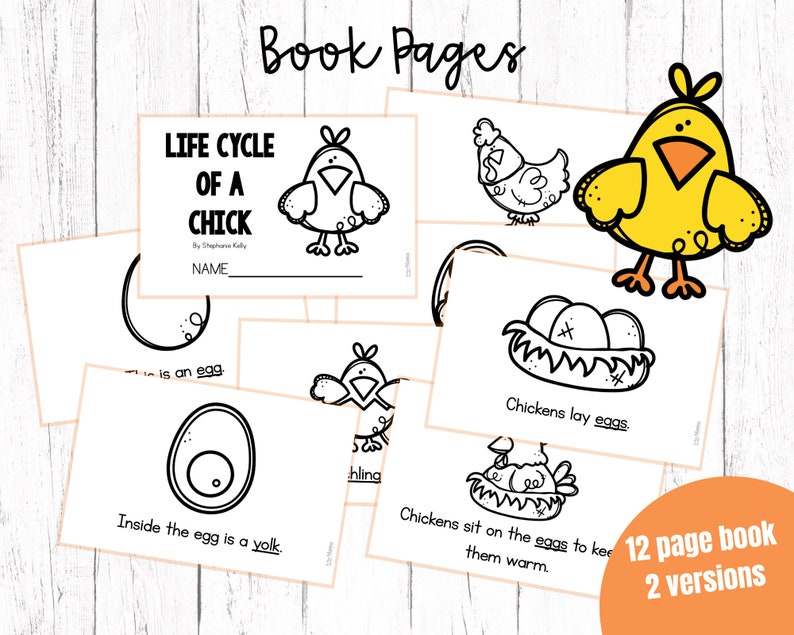Chicken Life Cycle Emergent Reader Book and Activities | Etsy