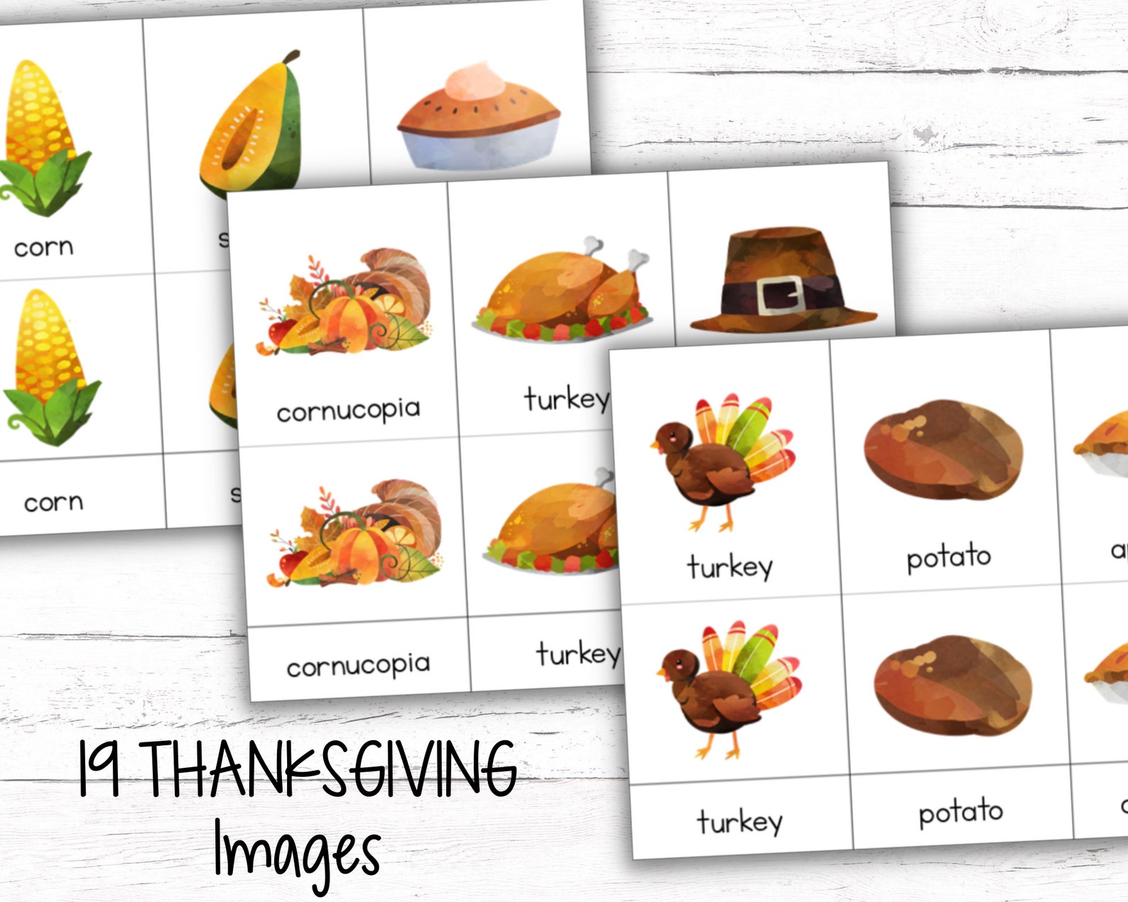 Thanksgiving 3 Part Vocabulary Cards for Montessori, Task Boxes ...