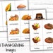 Thanksgiving 3 Part Vocabulary Cards for Montessori, Task Boxes ...