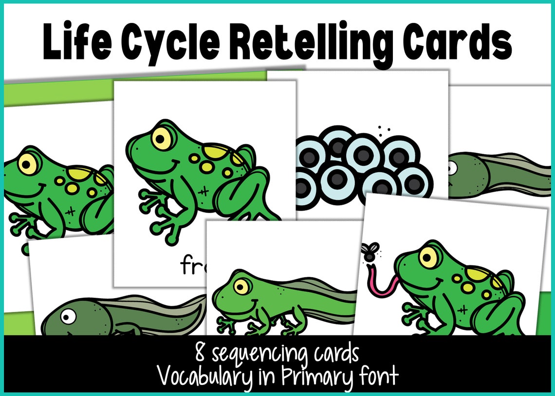 Frog Life Cycle Emergent Reader Book and Activities | Preschool ...