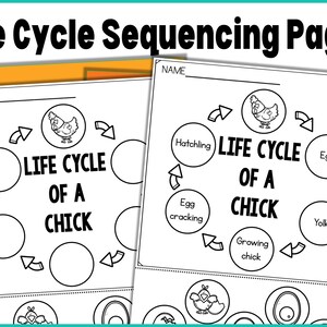 Chicken Life Cycle Emergent Reader Book and Activities | Homeschool ...