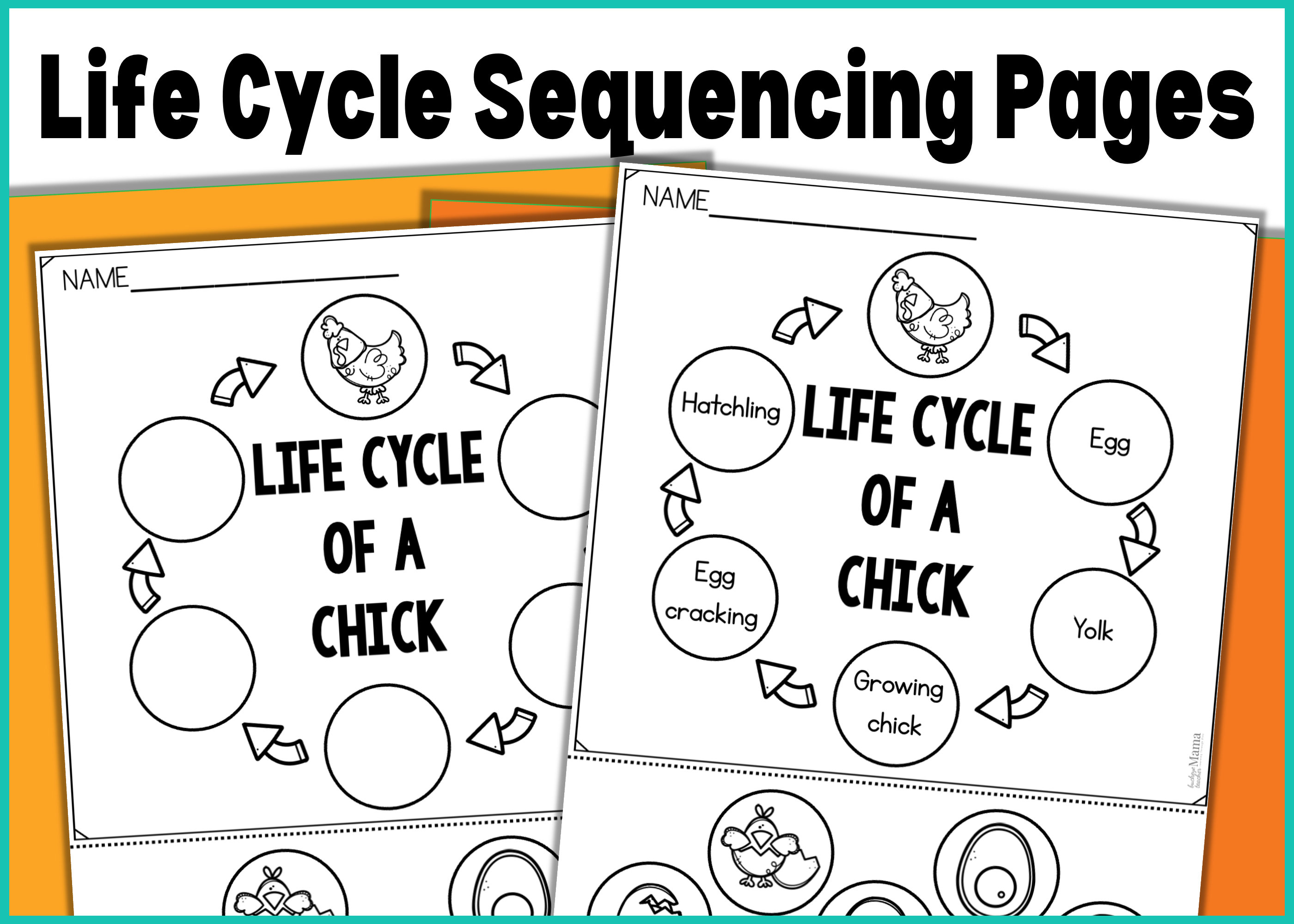 Chicken Life Cycle Emergent Reader Book and Activities | Homeschool ...