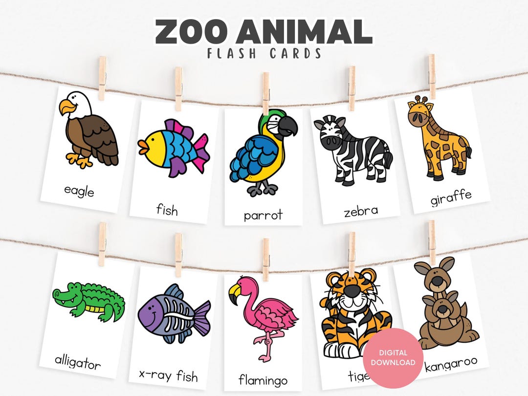 Zoo Animal Alphabet Flash Cards Printable PDF, ABC Animal Flashcards ...