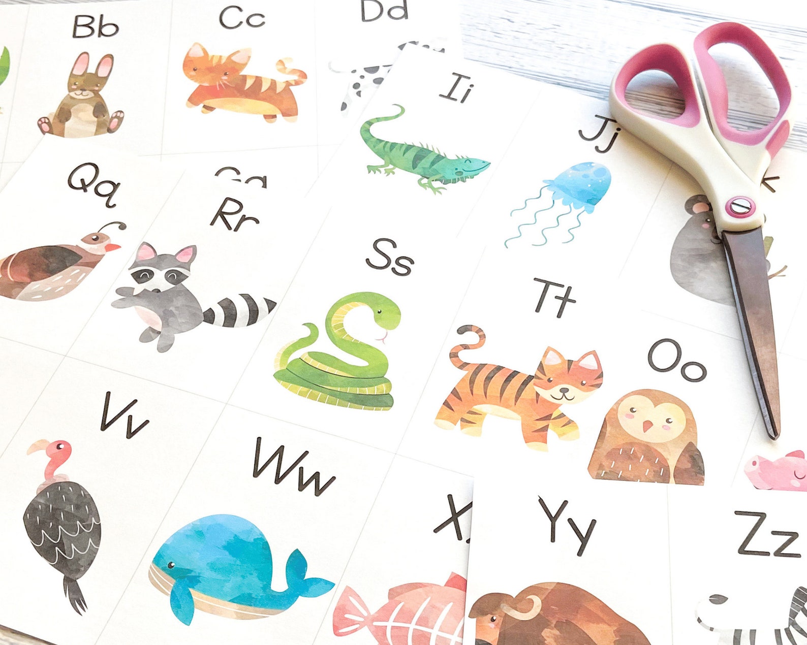 ABC Animal Flashcards for Preschool | Printable Flashcards for Toddlers ...