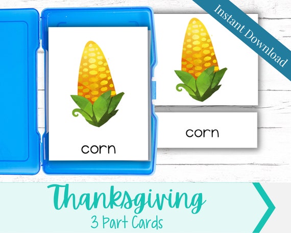 Thanksgiving 3 Part Vocabulary Cards for Montessori Task | Etsy