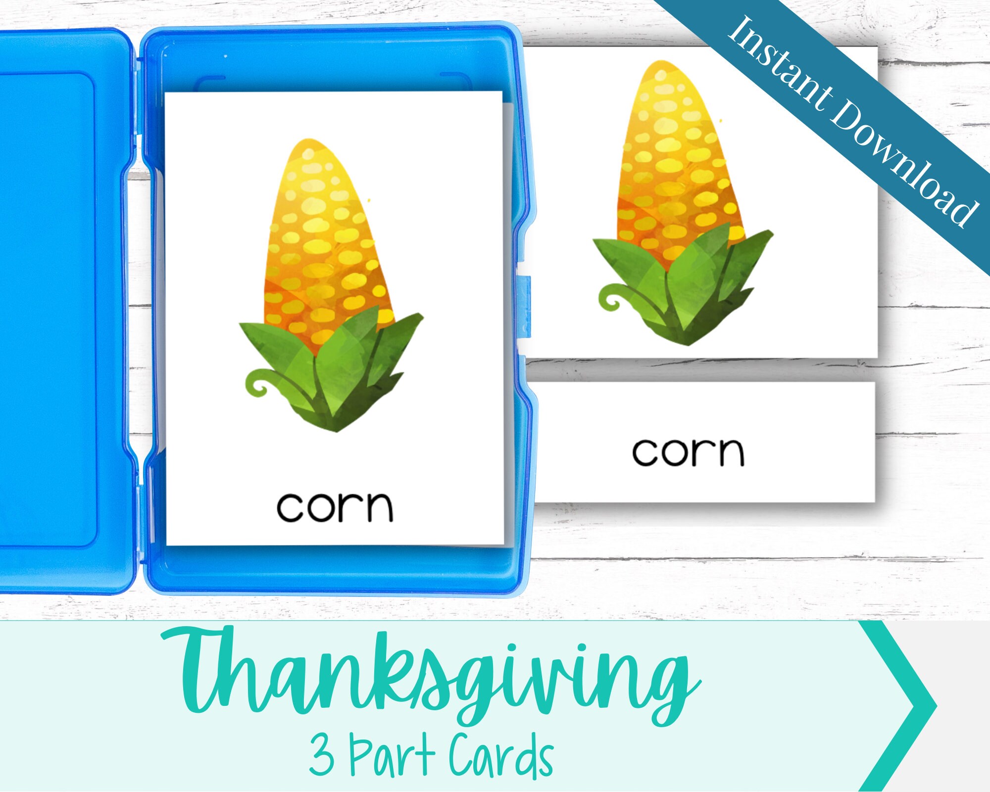 Thanksgiving 3 Part Vocabulary Cards for Montessori, Task Boxes ...