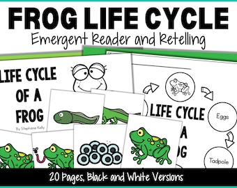 Butterfly Life Cycle Emergent Reader Book and Activities - Etsy