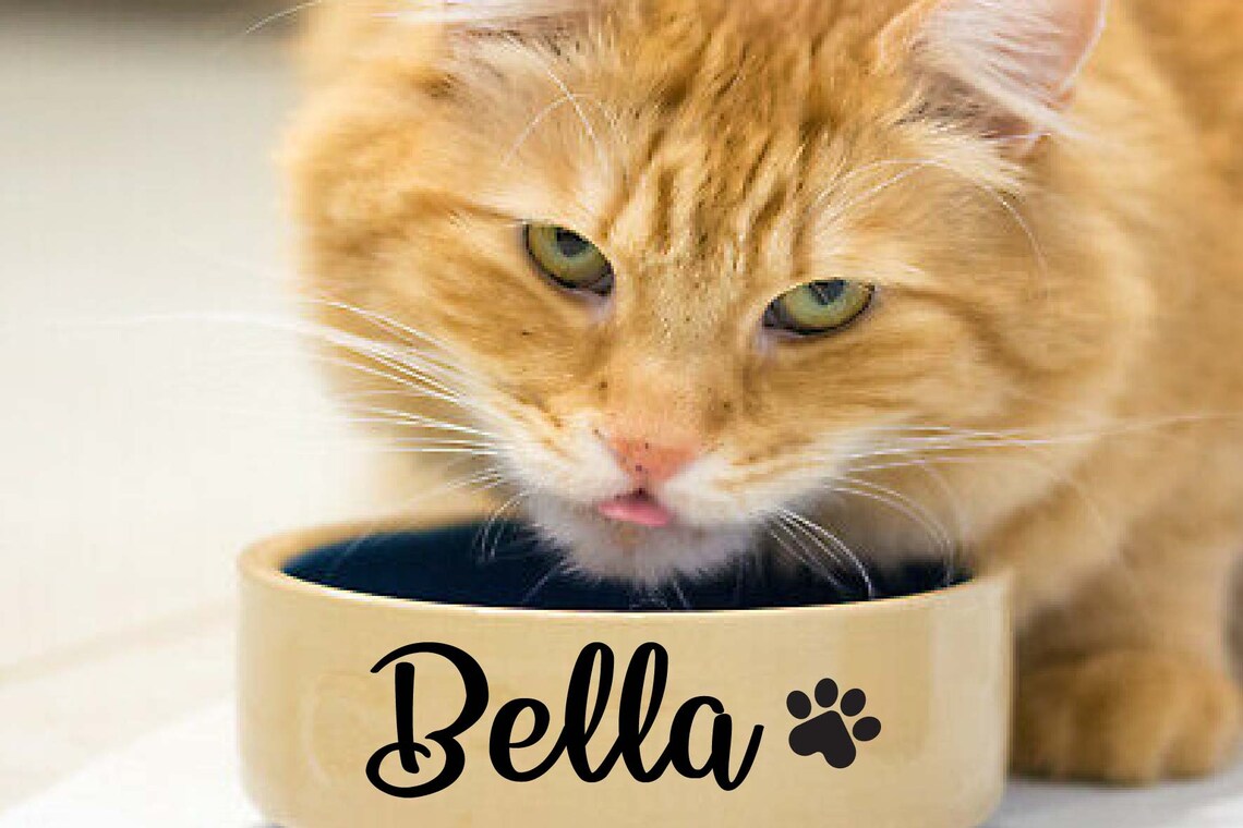 Personalised Cat Decal Custom Name Vinyl Stickers Custom | Etsy