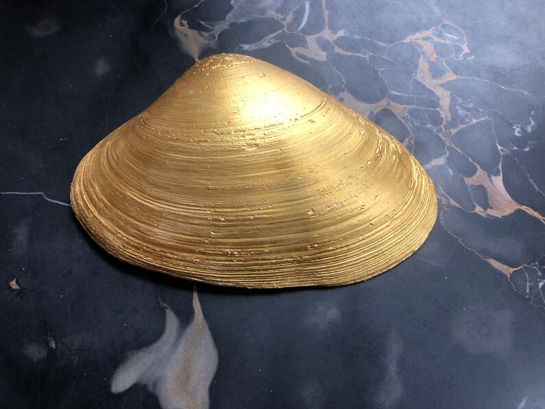 Bird Jewelry Dish; Decoupage Clam Shell Jewelry Holder - Etsy