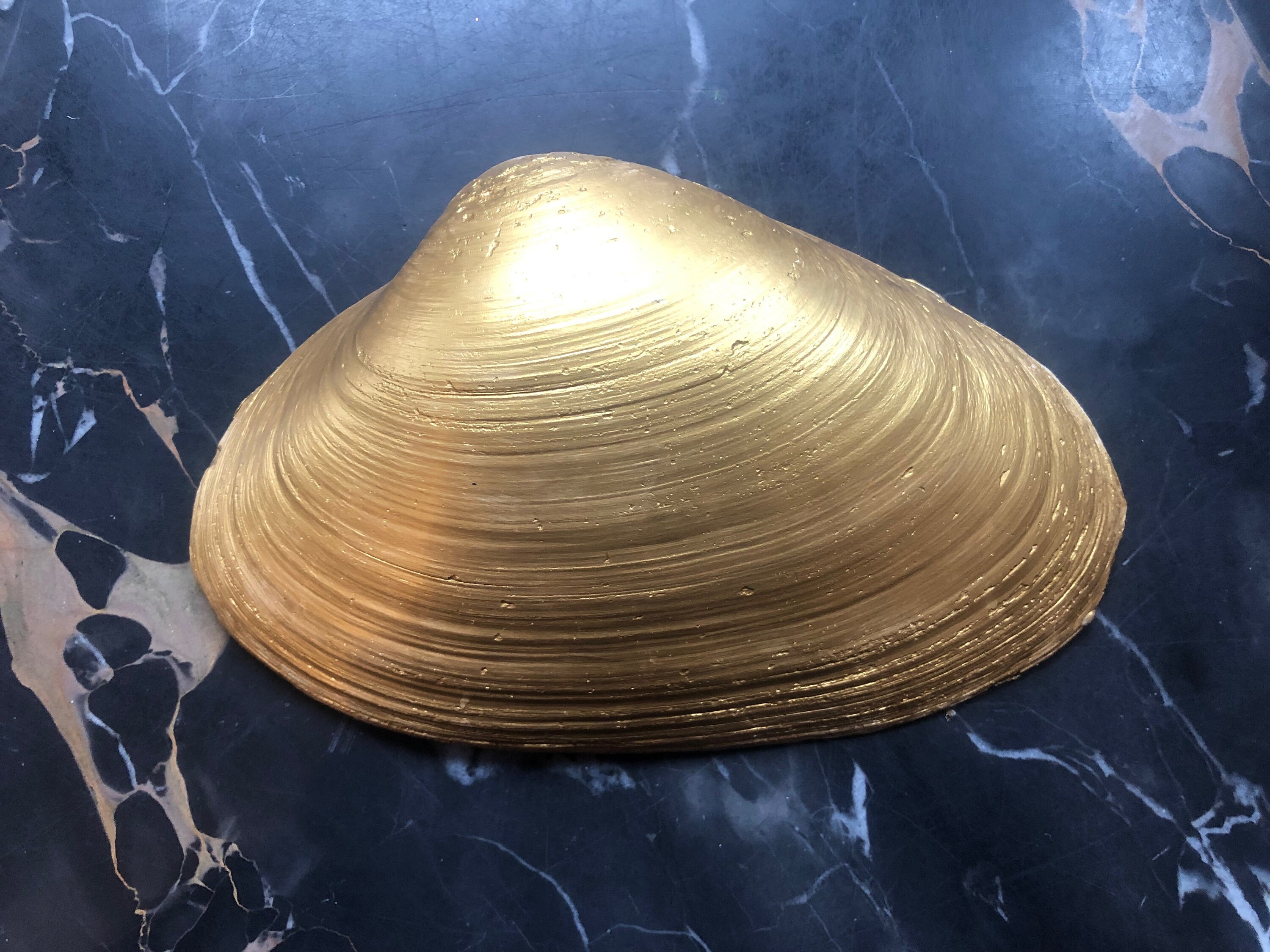 Music Notes Design Decoupaged on Shell Musician Gift Shell - Etsy