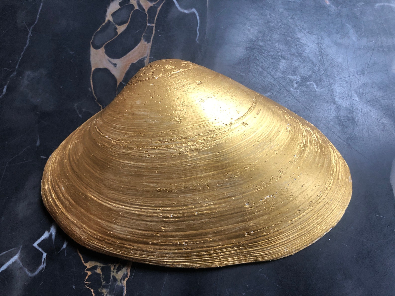 Bird Jewelry Dish; Decoupage Clam Shell Jewelry Holder - Etsy