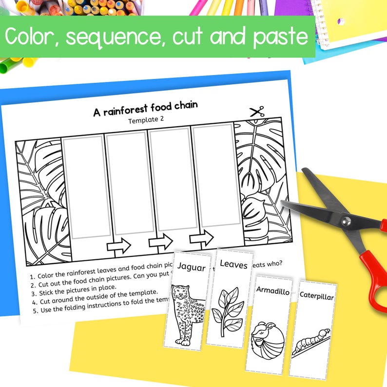 Food Chains Foldable Activity for Kids | A4 and 11x8.5 Inch | Digital ...