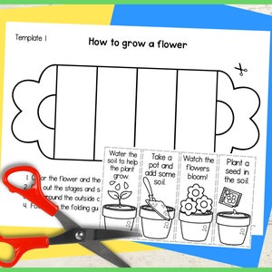 How to Grow a Flower Spring Kids Printable Craft Activity | Foldable ...